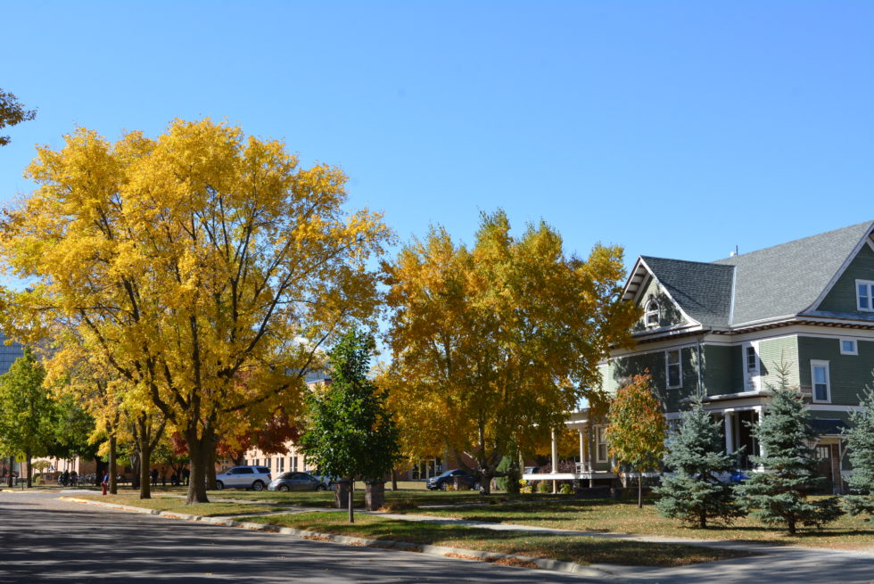 Government | City of Canby